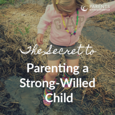 Positive Discipline Made Practical: 12 Child Behaviors and Solutions